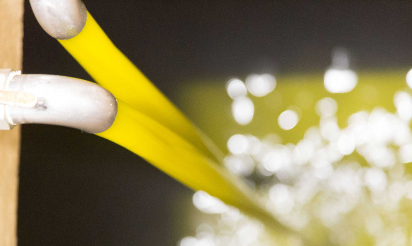 Forte discesa dei prezzi dell’olio di oliva in Spagna e Italia