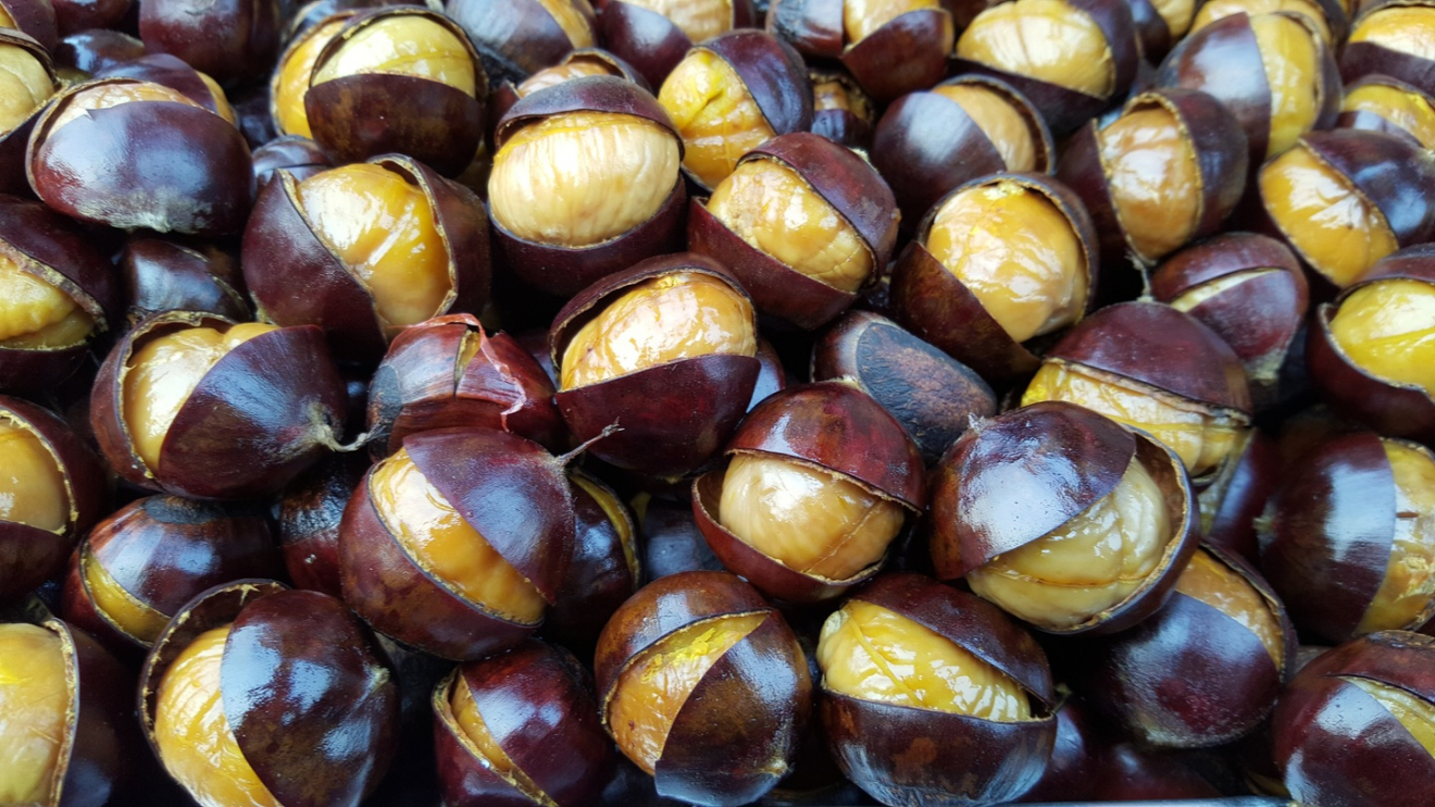 Castagne: i benefici e metodi di cottura di un frutto dalle mille varietà