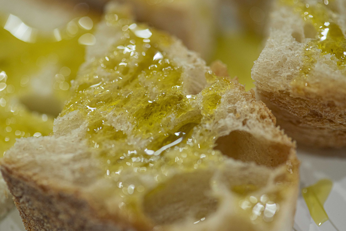 Olio di oliva e microbiota intestinale, i composti fenolici sono ...
