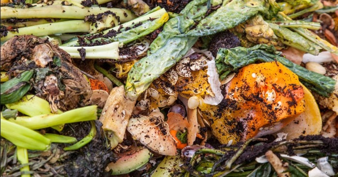 Troppo cibo va sprecato dal campo alla tavola